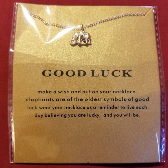 Jewelry | Good Luck Necklace | Poshmark